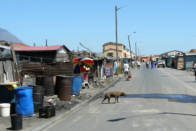 Operation Dudula Escalates: SA’s Immigration Tensions Rise