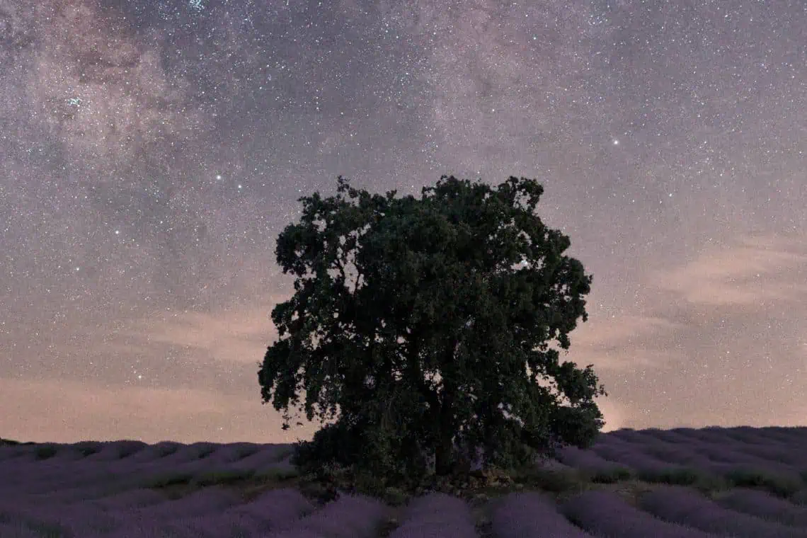 Horoscopes and Lucky Numbers for 11 November