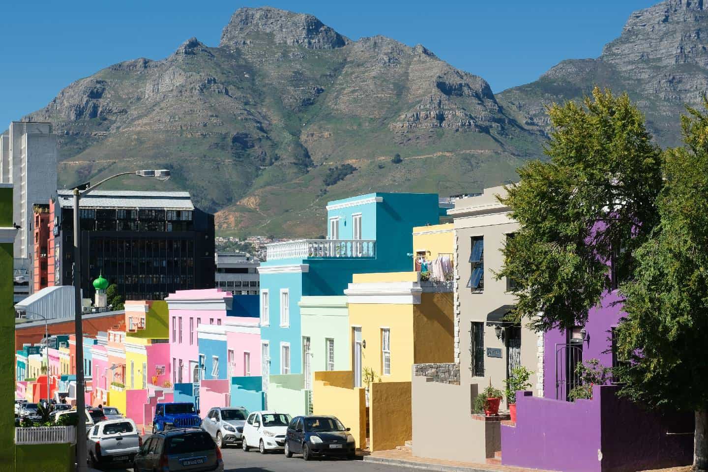 Kaapse Klopse 2026: Rainbow Renaissance Revealed